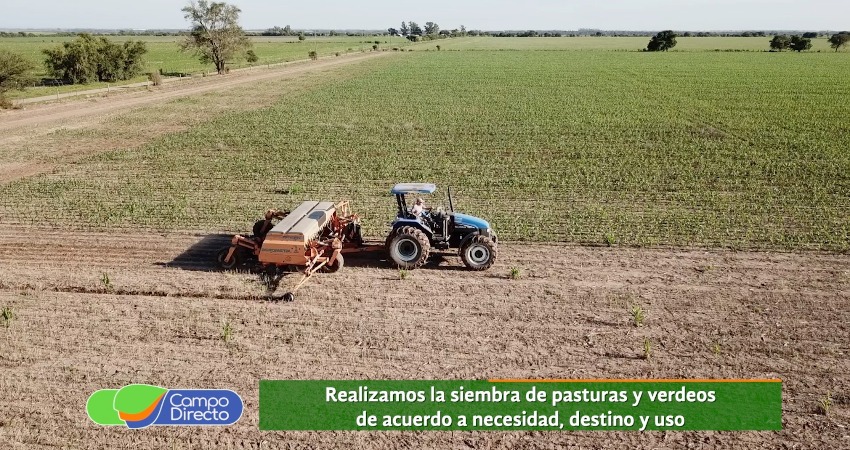 Siembra de pasturas y verdeos de acuerdo a las necesidades - Campo Directo