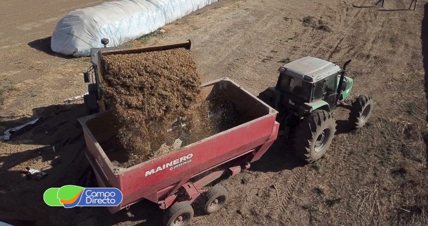 Espacio Forrajero: "Uso eficiente de los forrajes II" - Campo Directo