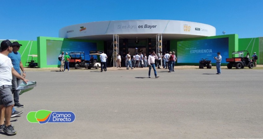 Bayer presentó su plan estratégico para la agrobioindustria - Campo Directo