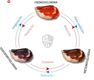 El color de la carne y sus estados de transformación - Campo Directo